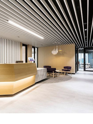 Vertical Acoustic Ceiling Baffles | Shelly Lighting