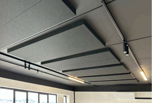 Rigid Acoustical Ceiling Panels